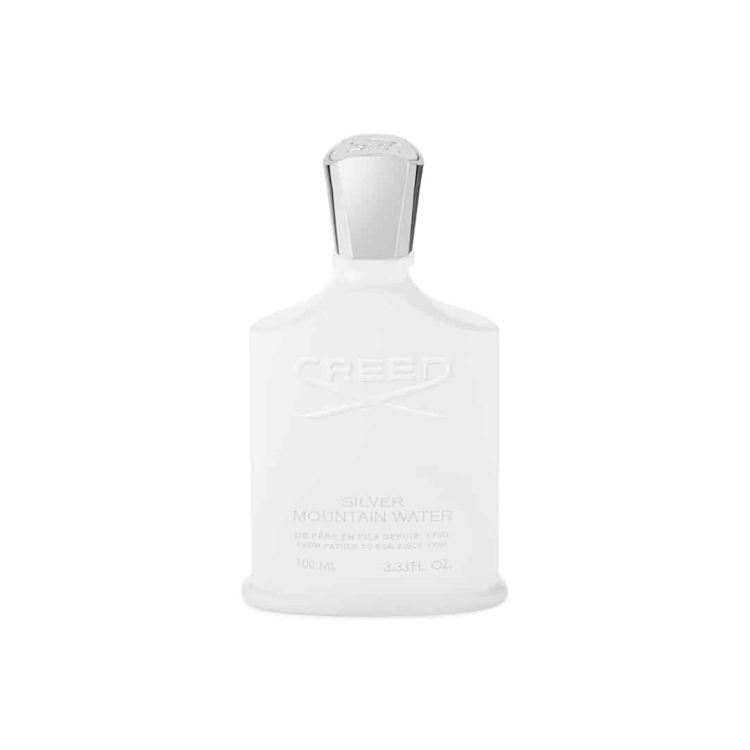 PERFUME AAA SILVER MOUNTAIN WATER 100ML – Palacio de los detalles
